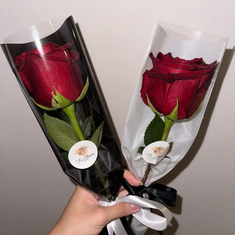 Single Stalk Premium Ecuador Roses (min. 10 Stalks) – Fu Bloom Flowers